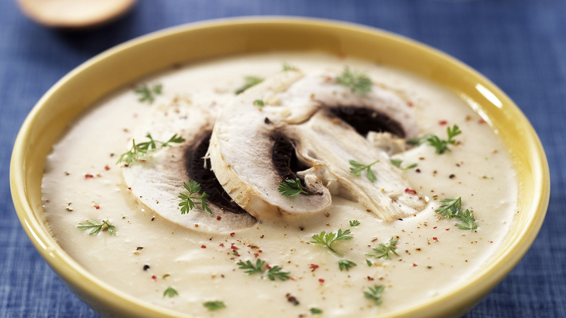 Sopa de hongos - Recetas GT